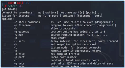 Lab Netcat Labs Net