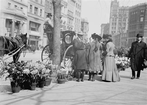 From Foul Air To Fresh Flowers The Story Of Manhattans Famous Flower