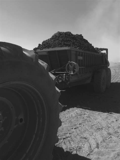 3 A Large Mound Of Class B Biosolids Are Hauled Across A Future Dryland Download Scientific