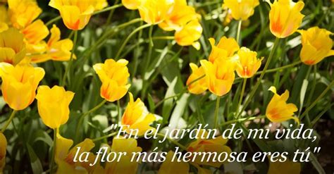Frases Bonitas Para El 10 De Mayo Para Una Amiga