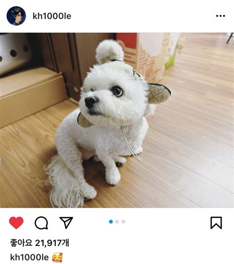 오사 On Twitter 헐 천러가 대갈이한테 모자 사줫나봐 대갈이 미모 ㅈㄴ 에바임 내가 아는 강하띠 중에 제일 예쁨 다른