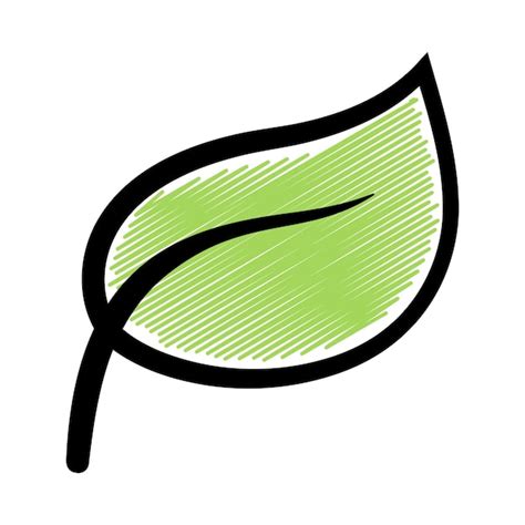 Free Vector Leaf Sketch Style