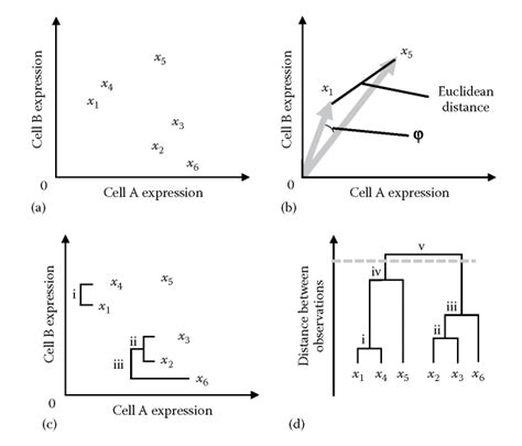 Multivariate Distances For Clustering