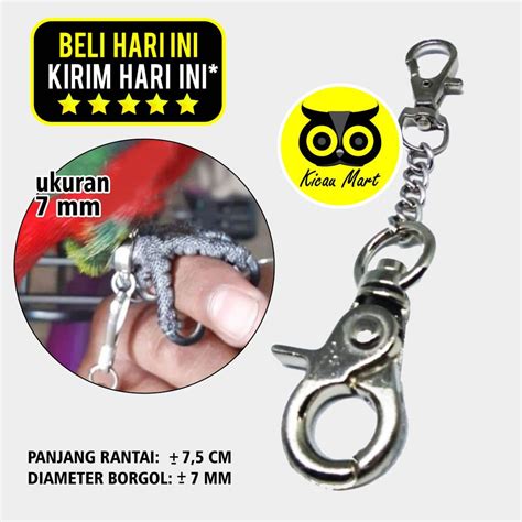 Jual KICAUMART RANTAI BORGOL BESI BESAR TEBAL RING PENGAMAN KAKI BURUNG NURI BEO BETET HANTU