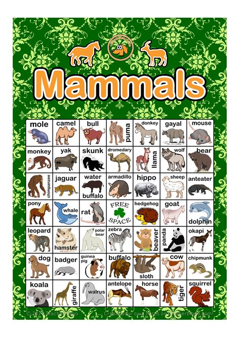 Mammals Bingo 7x7 100 Pages Call Sheet Made By Teachers