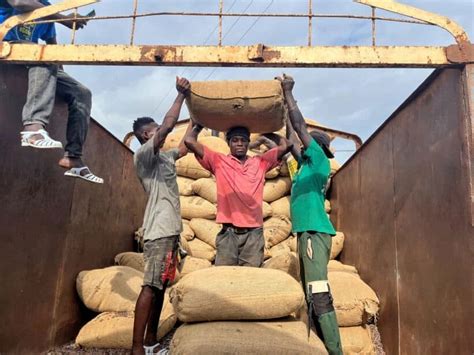 Embracing Growth Through Trying And Failing Caleb Mbely Social Media Manager Posted On The