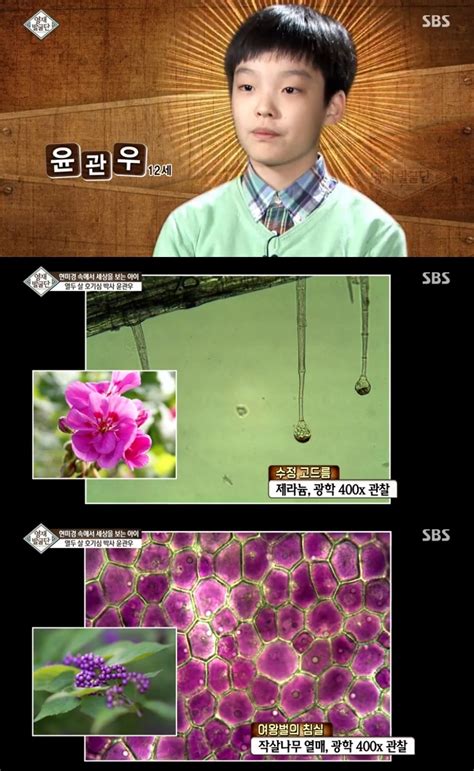 영재발굴단 현미경에 빠진 12세 윤관우 현미경 사진전에서 예술상 수상남다른 관찰력 감탄