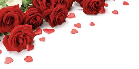 Why Roses For Valentines Day Flowers Talk Tivoli