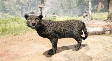 Jaguar Negro Raro Far Cry Primal Cosas Unicas Wiki Fandom