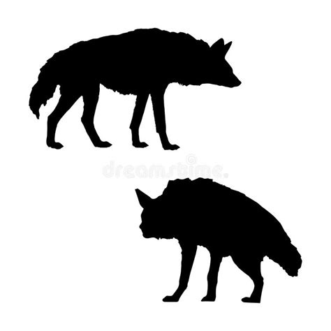 Striped Hyena Illustration Stock Illustrations 79 Striped Hyena