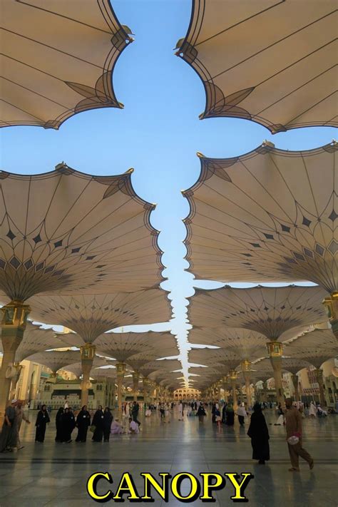 Canopy 뜻 우리가 몰랐던 영어단어 캐노피의 세계 네이버 블로그