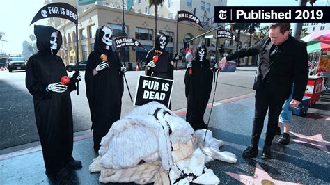 The California Fur Ban And What It Means For You The New York Times