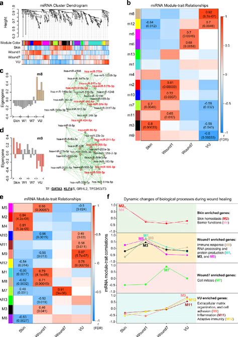 Weighted Gene Coexpression Network Analysis WGCNA Of MiRNAs And MRNAs