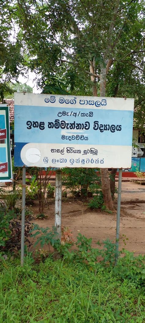 අ ඉහළ තම්මැන්නාව ප්‍රාථමික විදුහල Facebook