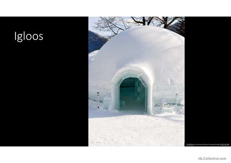 Learn About Igloos Reading Comprehen English ESL Powerpoints