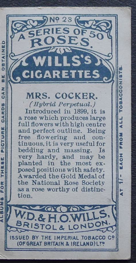 Rose Mrs Cocker 2 Jerry Coleby Williams