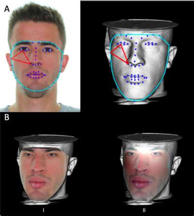 A Example Of Homologous Triangles In Red B Result Of The Face