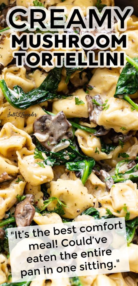 One Pan Creamy Mushroom Tortellini Easy Tortellini Recipes
