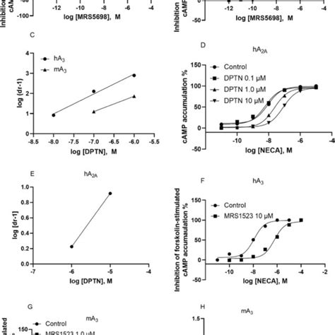Functional Antagonism At A3 And A2a Ars By Dptn A B C D And E And