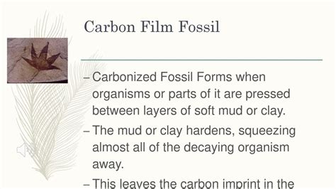 The Remains Or Impression Of An Organism That Lived Long Ago Ppt Download