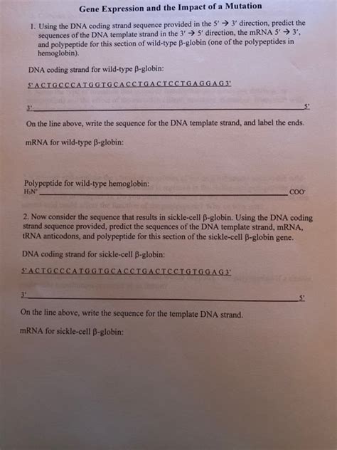 Solved Gene Expression And The Impact Of A Mutation 1 Us
