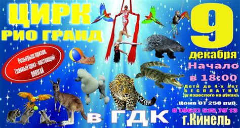 Цирк Рио Гранд 2024 | ВКонтакте