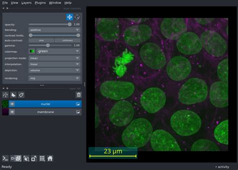 Scale Bar — Napari