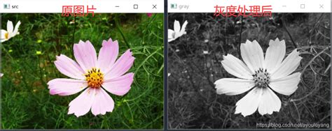 图像处理之opencv图像特效大全 opencv 特效 csdn博客