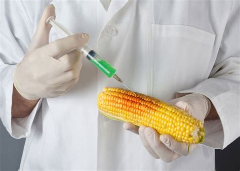 12 Bizarre Examples Of Genetic Engineering