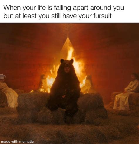 Bear Irl R Furry Irl