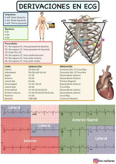 DERIVACIONES EN ECG Boris Moises Caillares Montaño uDocz