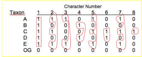 Solved Draw A Phylogenetic Tree Using Data How Many Chegg Com