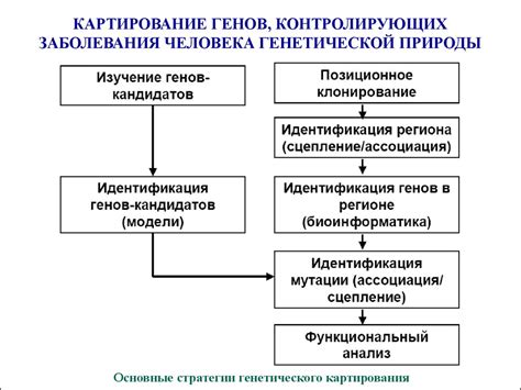 Идентификация генов ответственных за заболевания человека генетической
