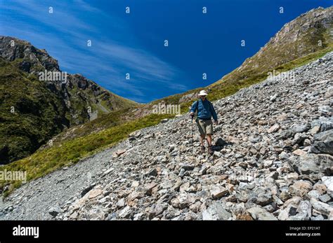 Scree Rock