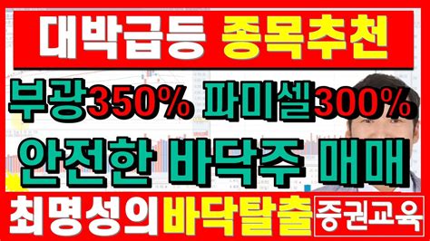 추천주 부광약품 350 파미셀 3000 바닥주 들고 있으면 수익난다 시황 및 급등주 단타매매 세력주 추천 제이준코스메틱 케이엠제약 진양제약 한일단조 유지기업 파루