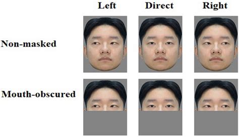 Three Gaze Directions Left Direct Right For Non Masked And Download Scientific Diagram