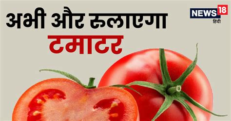 टमाटर नहीं होगा सस्‍ता अभी और कटेगी जेब आजादपुर मंडी के आढ़ती ने बताई