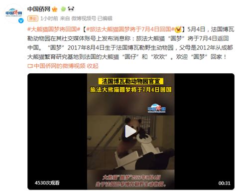 旅法大熊猫圆梦将于7月4日回国