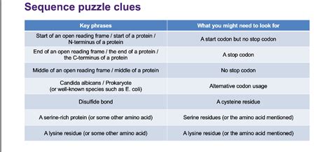 Solved The Double Stranded Dna Sequence From Candide