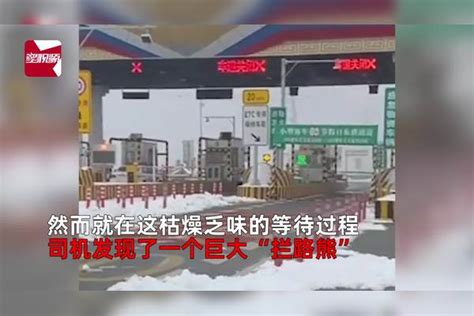 大雪封路，收费站员工凌晨花3小时堆2米高雪熊提示：缓解司乘焦虑米高雪司乘小时