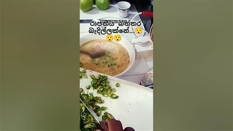රාජකීය බිත්තර බැදිල්ලක් 😯😯😯😯 Youtube
