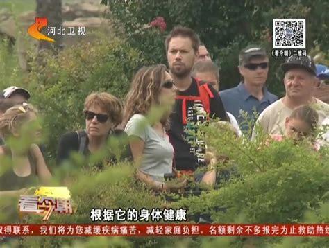 旅法大熊猫“欢欢”诞下双胞胎 一只幼崽死亡 搜狐视频