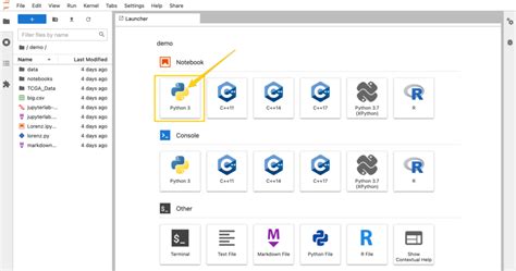 Python Tools Tutorial Examples BrainStation