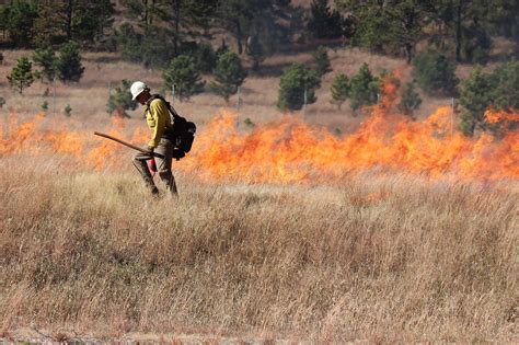 South Dakota Prescribed Burn Improves Wildlife Habitat Forest Health