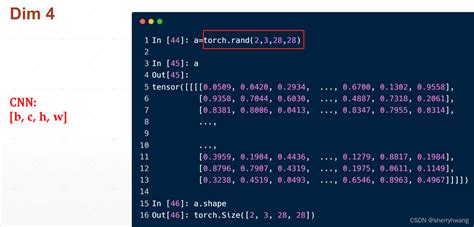 Pytorch基础（二） Tensor数据类型 Csdn博客