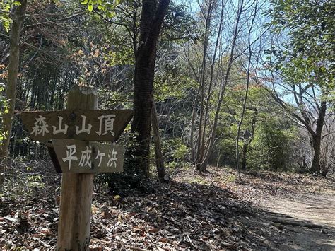 森山経由で梅を見に坂横浜公園へ まゆリンさんの牛田山・尾長山・二葉山の活動データ Yamap ヤマップ