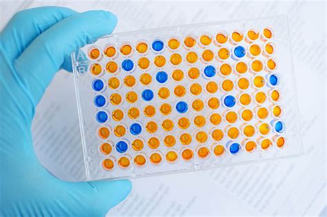 Microarray Fluorescent Dyes Gene Expression Tools Probes Boc Sciences