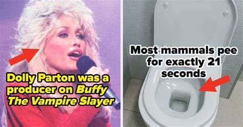 A Group Of Pandas Is Called An Embarrassment — 19 Bizarre Facts You