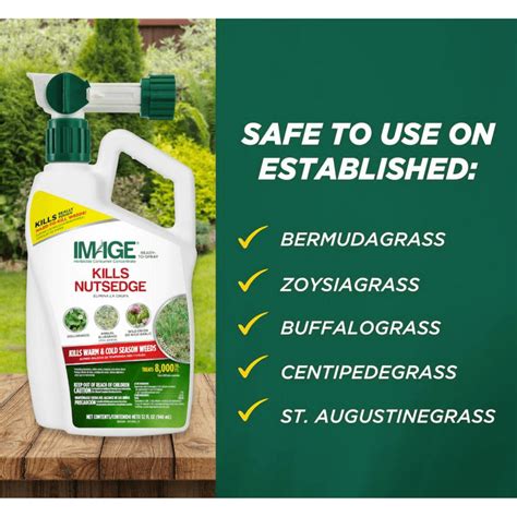 Herbicide For Nutsedge Control