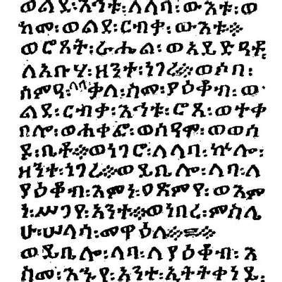 Amharic Memrise